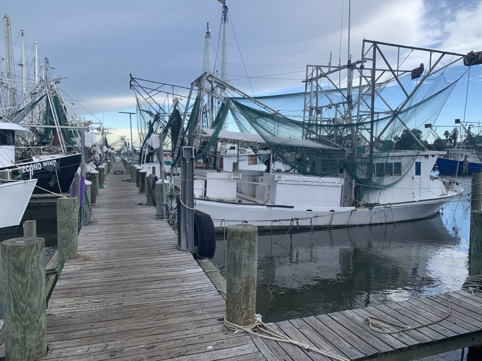 Retail - Mississippi Seafood