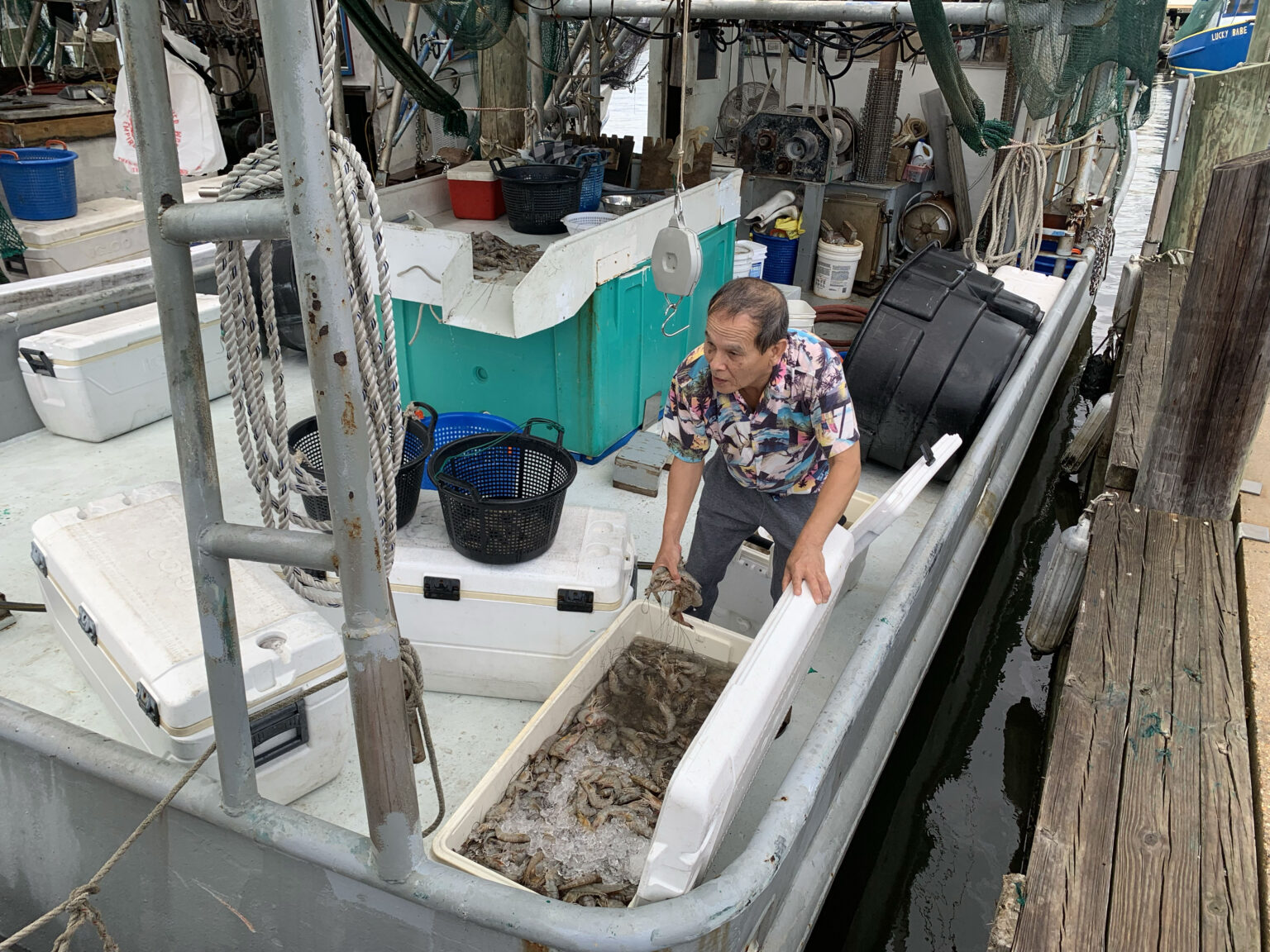 Retail - Mississippi Seafood